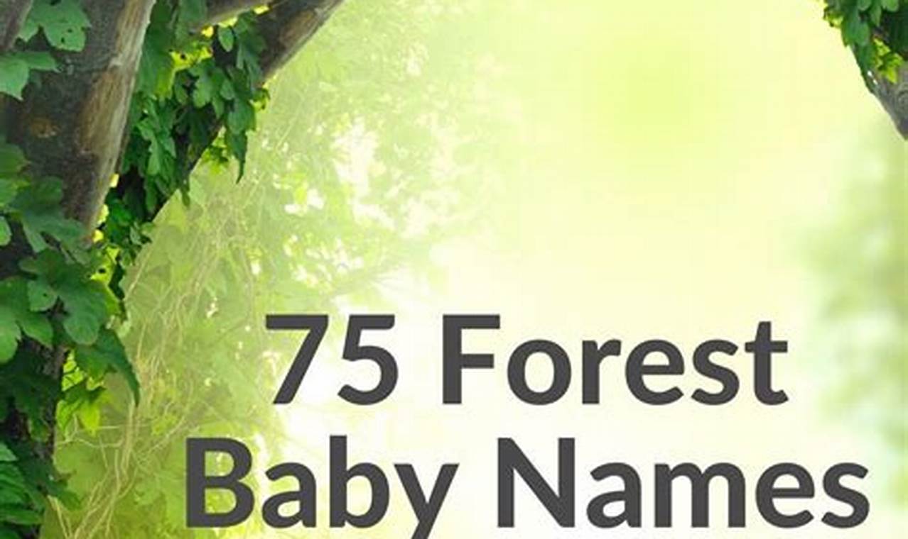 Unique Forest Baby Names: Nature-Inspired & Rare